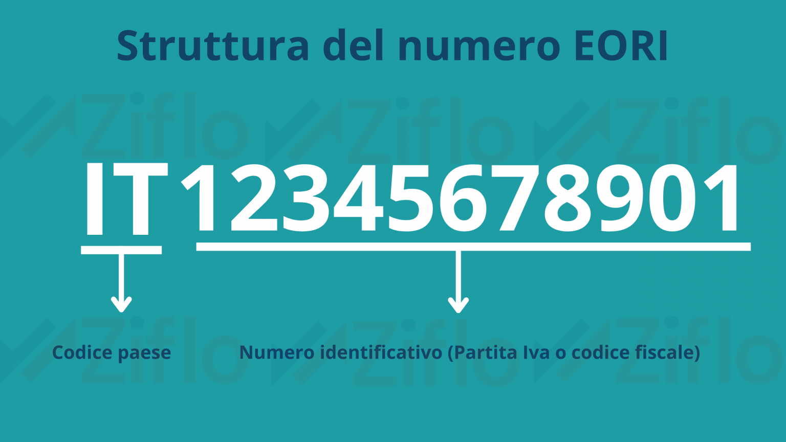 Numero EORI: cos'è, a cosa serve e come ottenerlo - Ziflo Blog